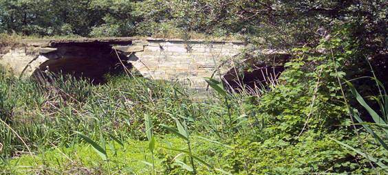 Anastasios Suru - Ne Nerede