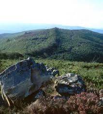 Anastasios Suru - Ne Nerede