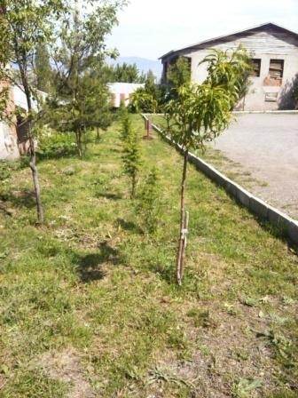 Sekiler İlkokulu - Ne Nerede