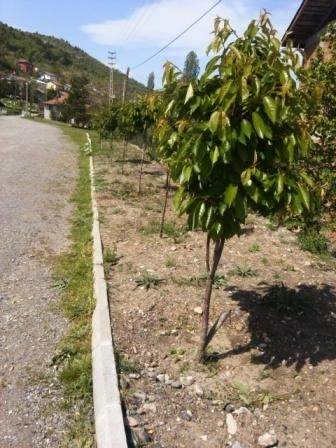 Sekiler İlkokulu - Ne Nerede