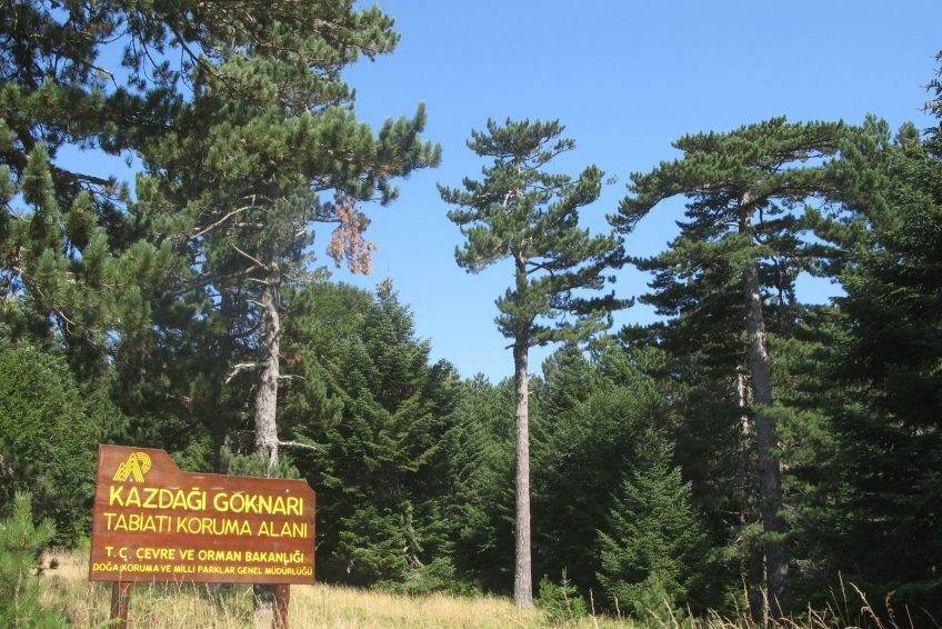 Kaz Dağı Milli Parkı - Ne Nerede